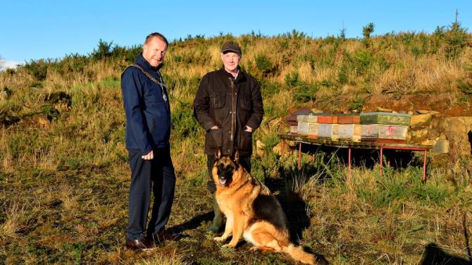 Tree-mendous! Local man's planting projects in Antrim and Randalstown ...