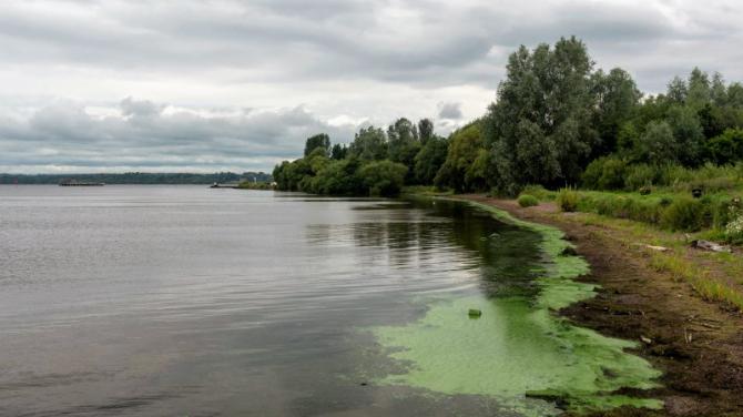 Momentum grows at Lough Neagh protest - Photo 1 of 1 - Antrim Guardian