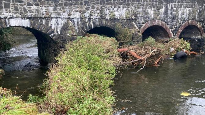 Fallen Tree Blocking River Poses Significant Risk Photo 1 Of 1 Antrim Guardian