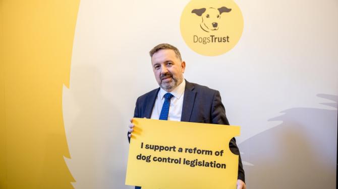 Swann urges a review of dog pound and kennelling policies - Photo 1 of ...